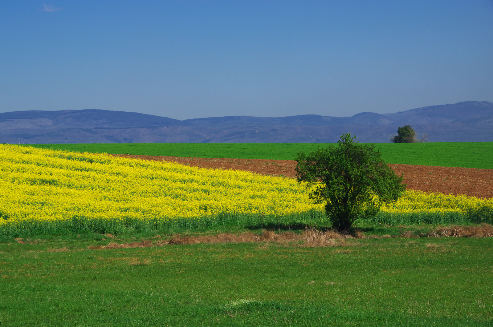 Wallpaper : color, landscape, outdoor, grassland 6016x4000 - - 647009 ...