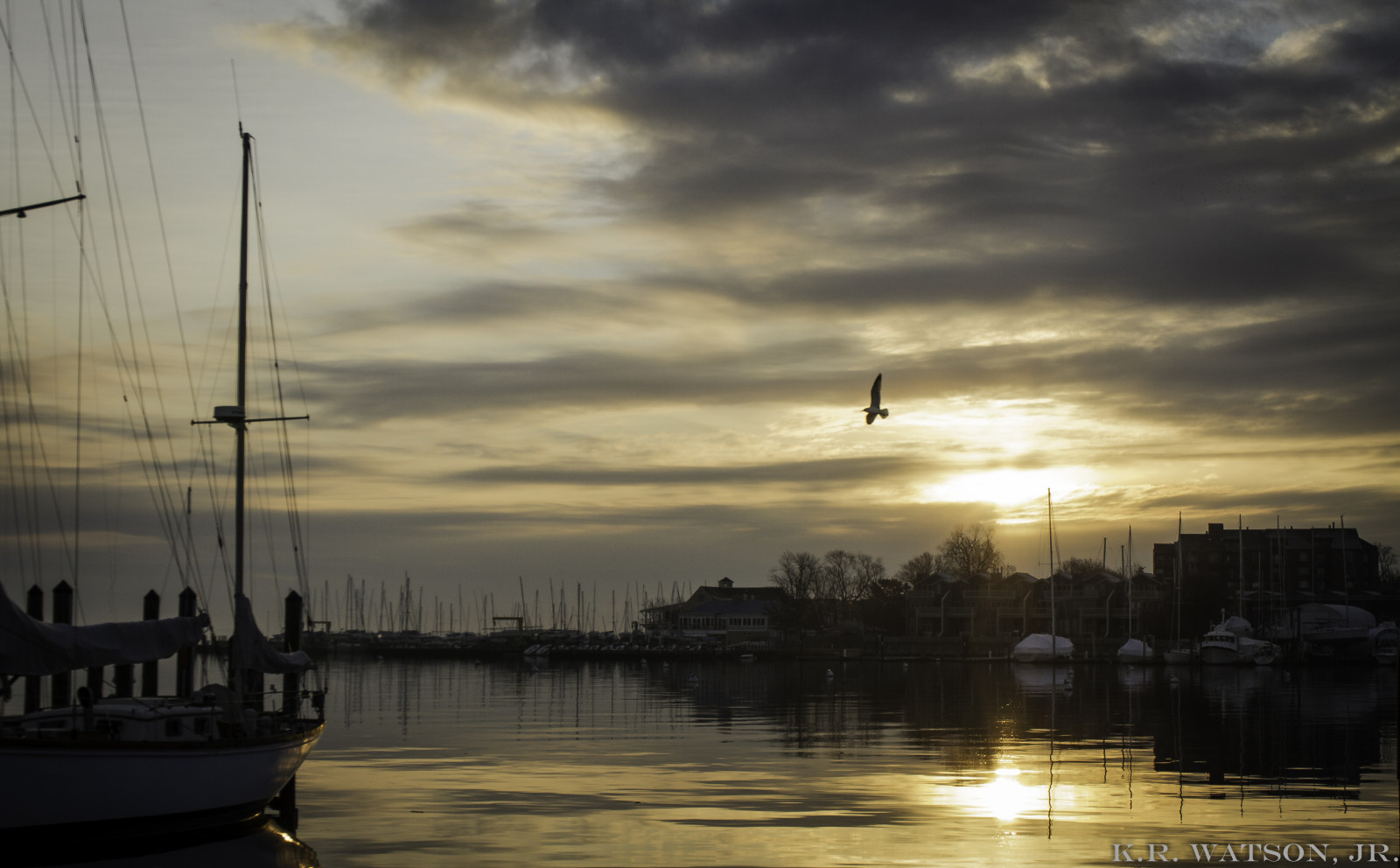 Wallpaper : Sun, reflection, bird, water, clouds, sailboat, sunrise ...