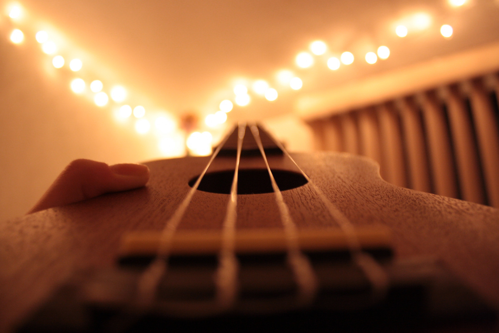 Wallpaper : string instrument, light, close up, musical instrument ...
