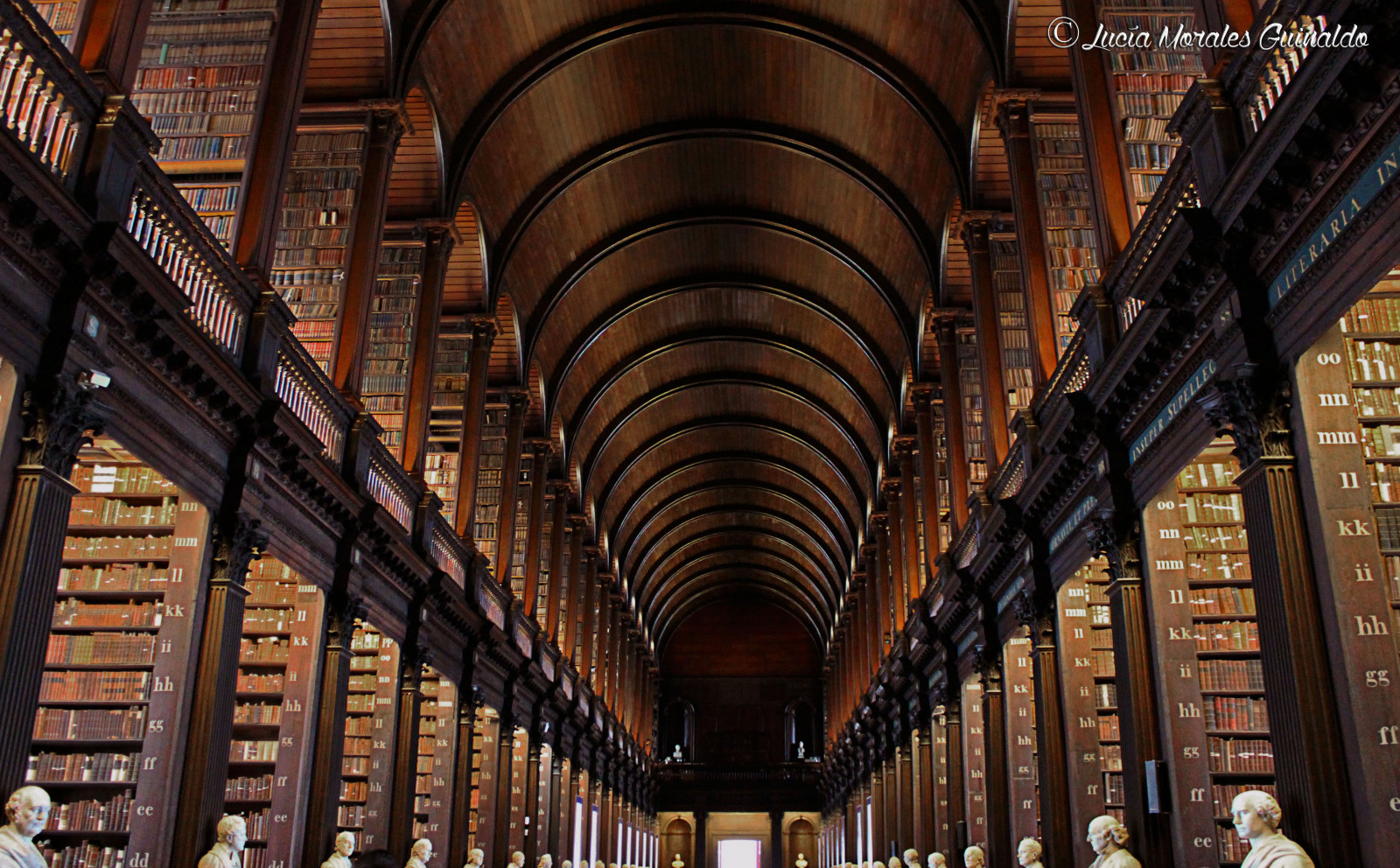 Wallpaper : Ireland, Dublin, library, books, biblioteca, libros ...