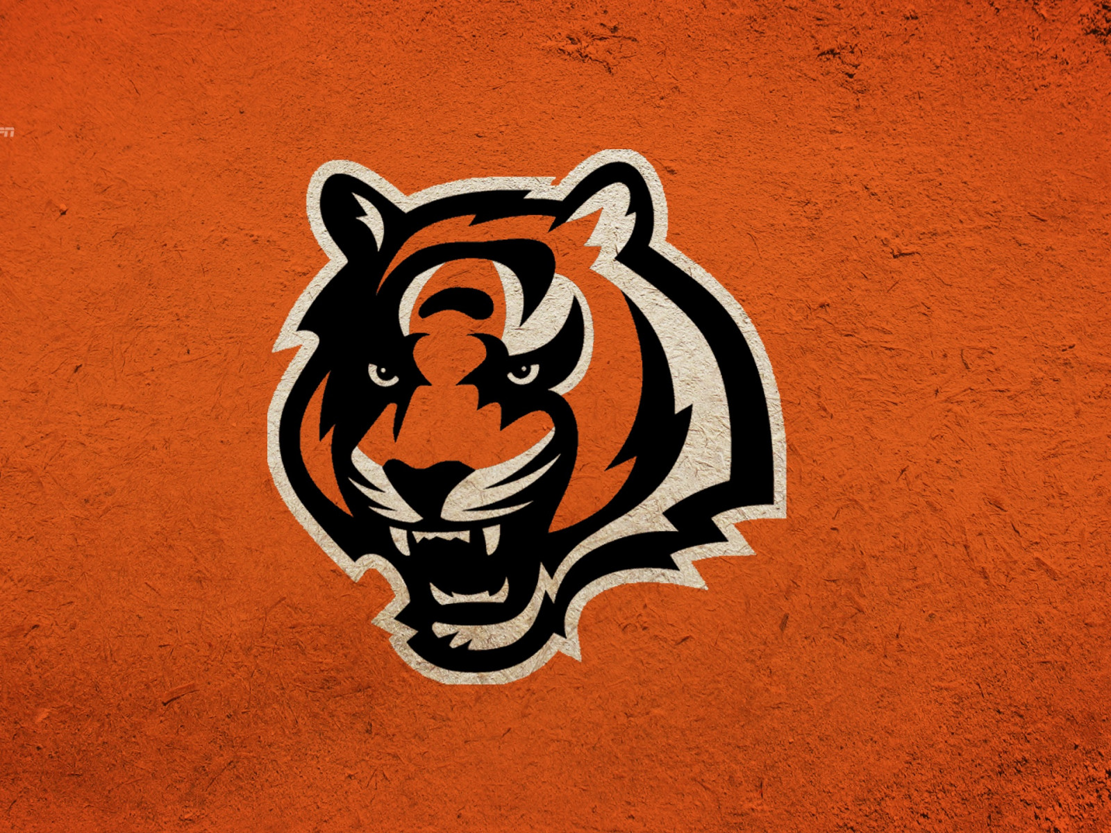 Bakgrundsbilder : 1920x1440 px, Bengaler, cincinnati, fotboll, GJ, NFL ...