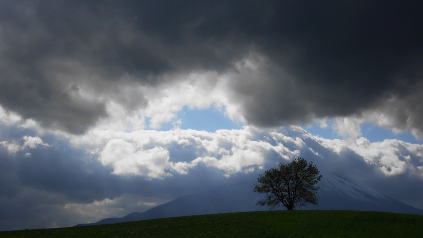 Clouds Sky Trees