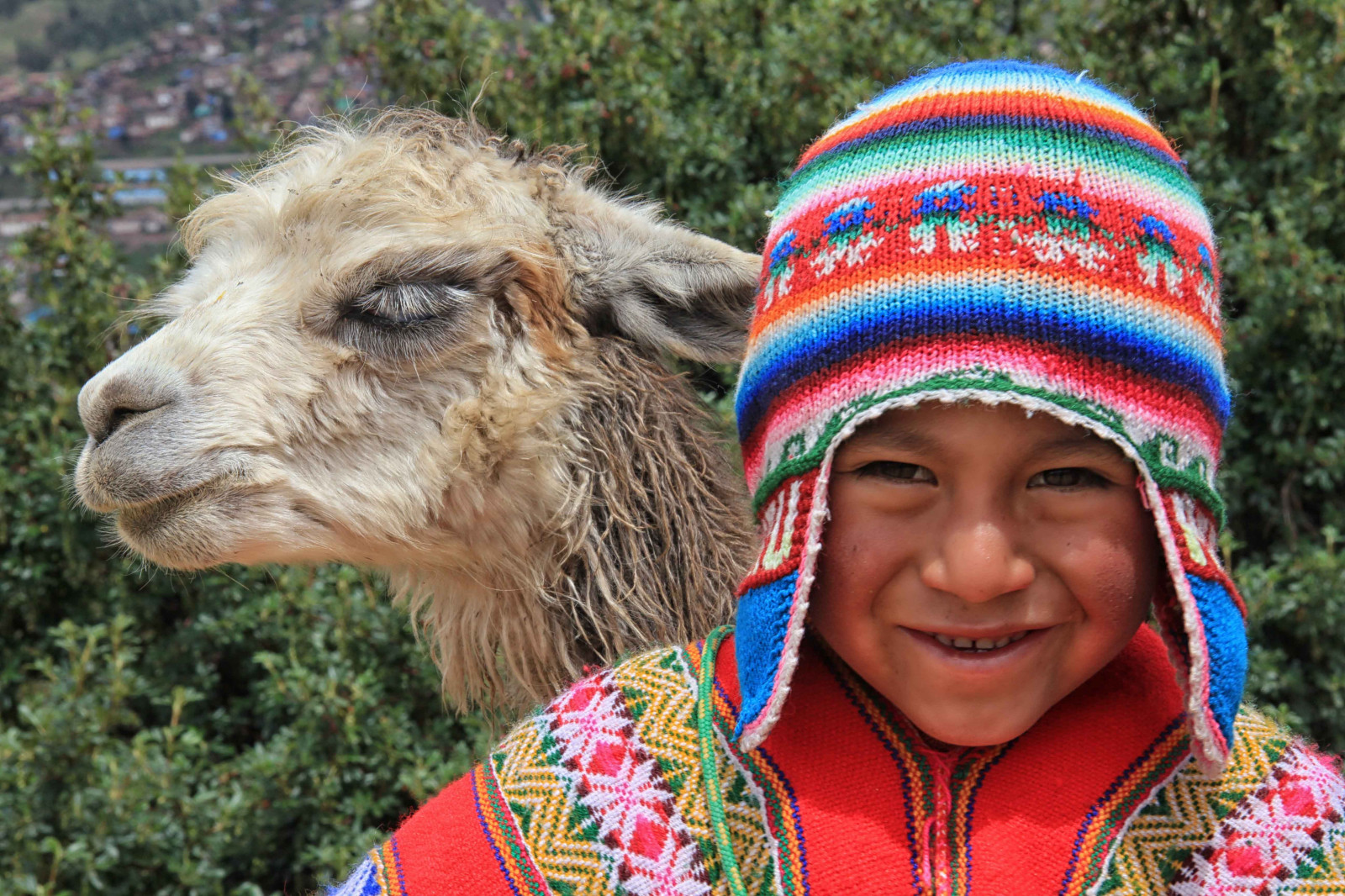 Imagini de fundal : față, alb, negru, monocrom, cap, Peru, lama, copil ...