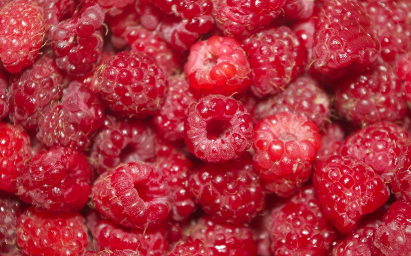 Hintergrundbilder : Beere, Himbeere, rot, feucht 1920x1200 - - 1101801 ...
