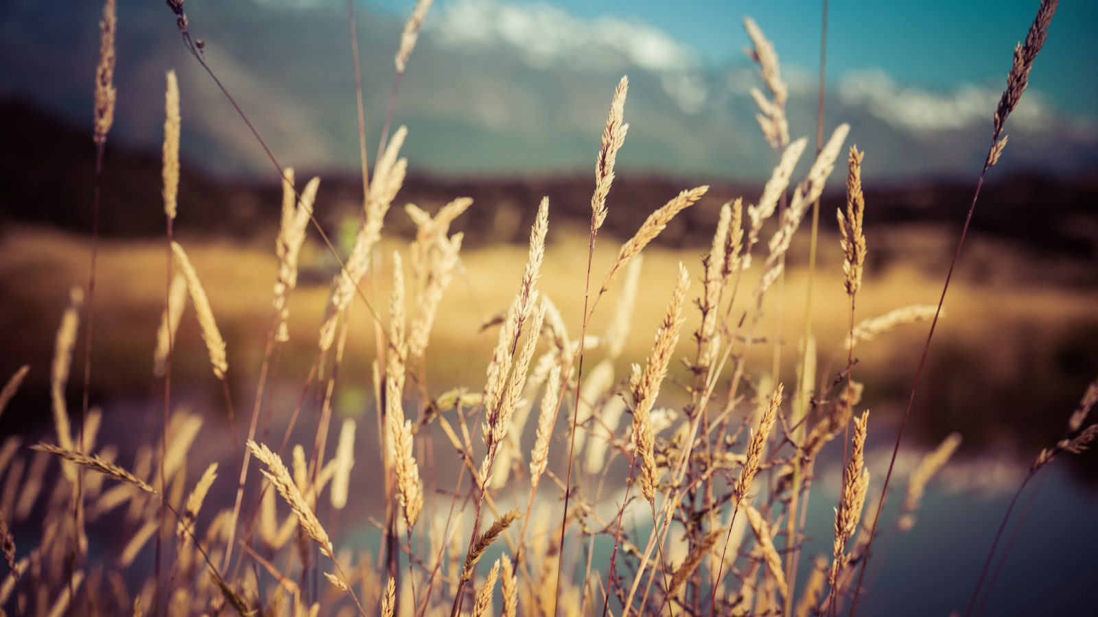 Imagini de fundal : peisaj, 4k, Noua Zeelanda 3840x2160 - SpanishGirl ...