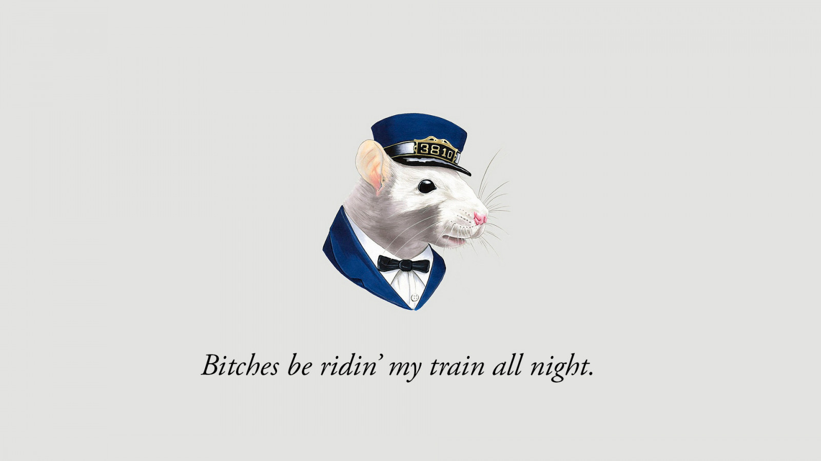 Wallpaper : 1920x1080 px, funny, hat, humor, mouse, quotes, statement ...
