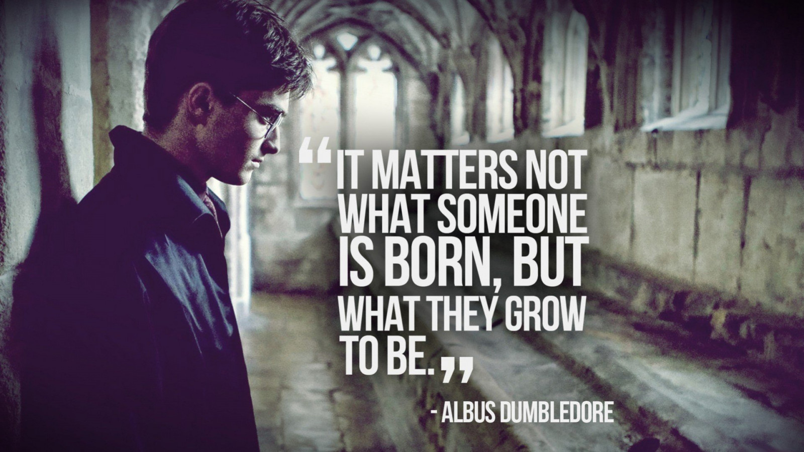 Wallpaper : 1920x1080 px, albus, daniel, dumbledore, Harry, potter ...