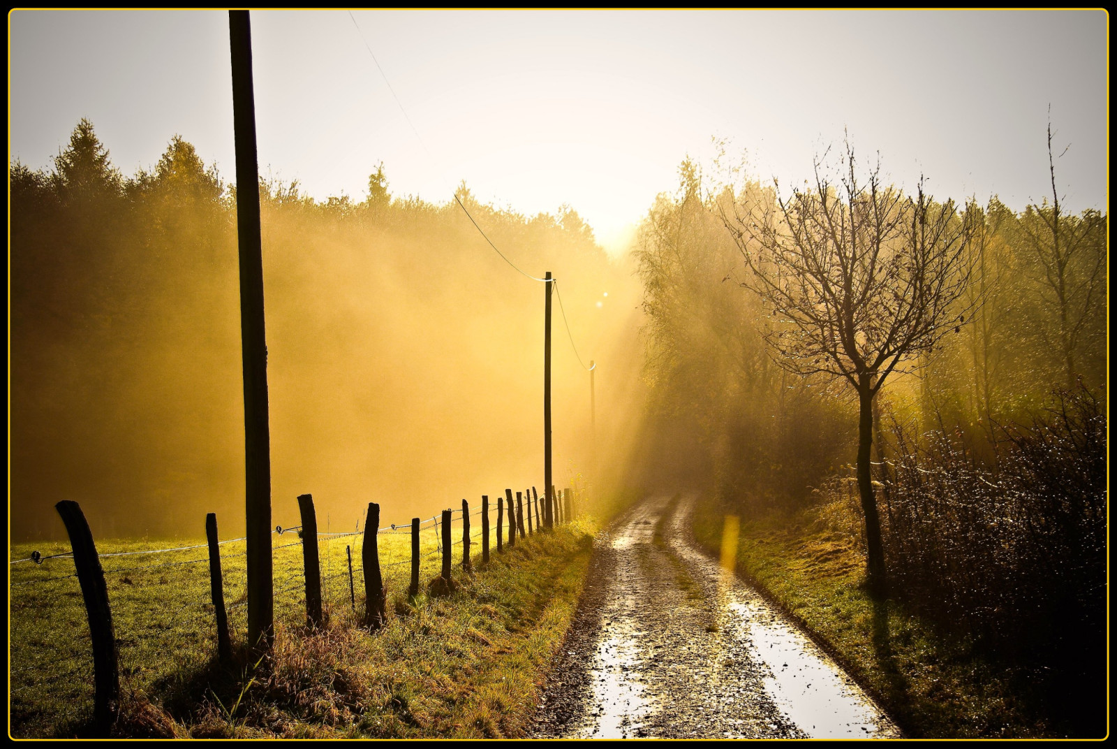 Wallpaper : street, morning, autumn, Sun, ART, fall, fog, sunrise ...