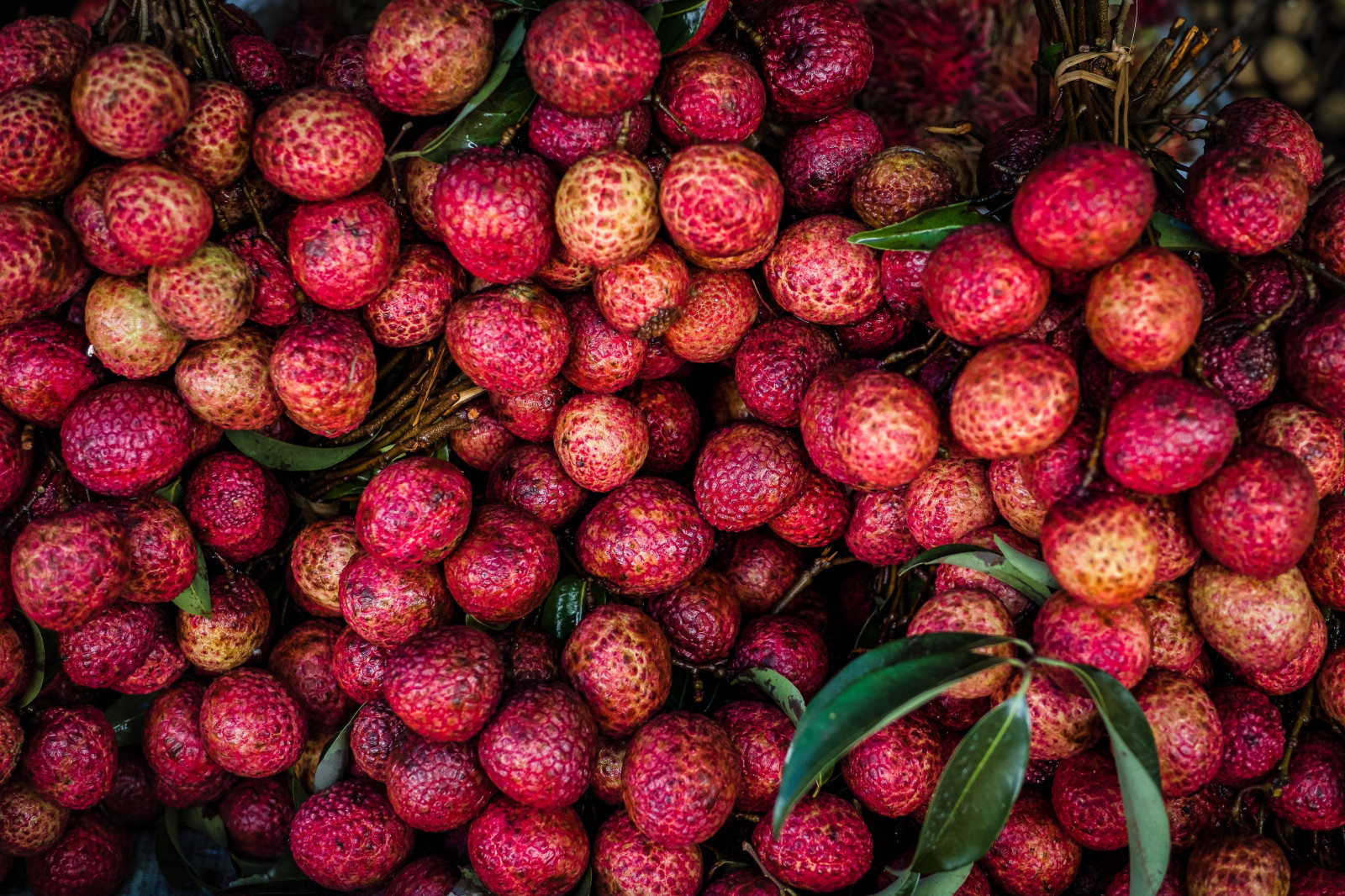 Tapety : lychees, ovoce, jeřabin 4780x3187 - wallhaven - 1276747 ...