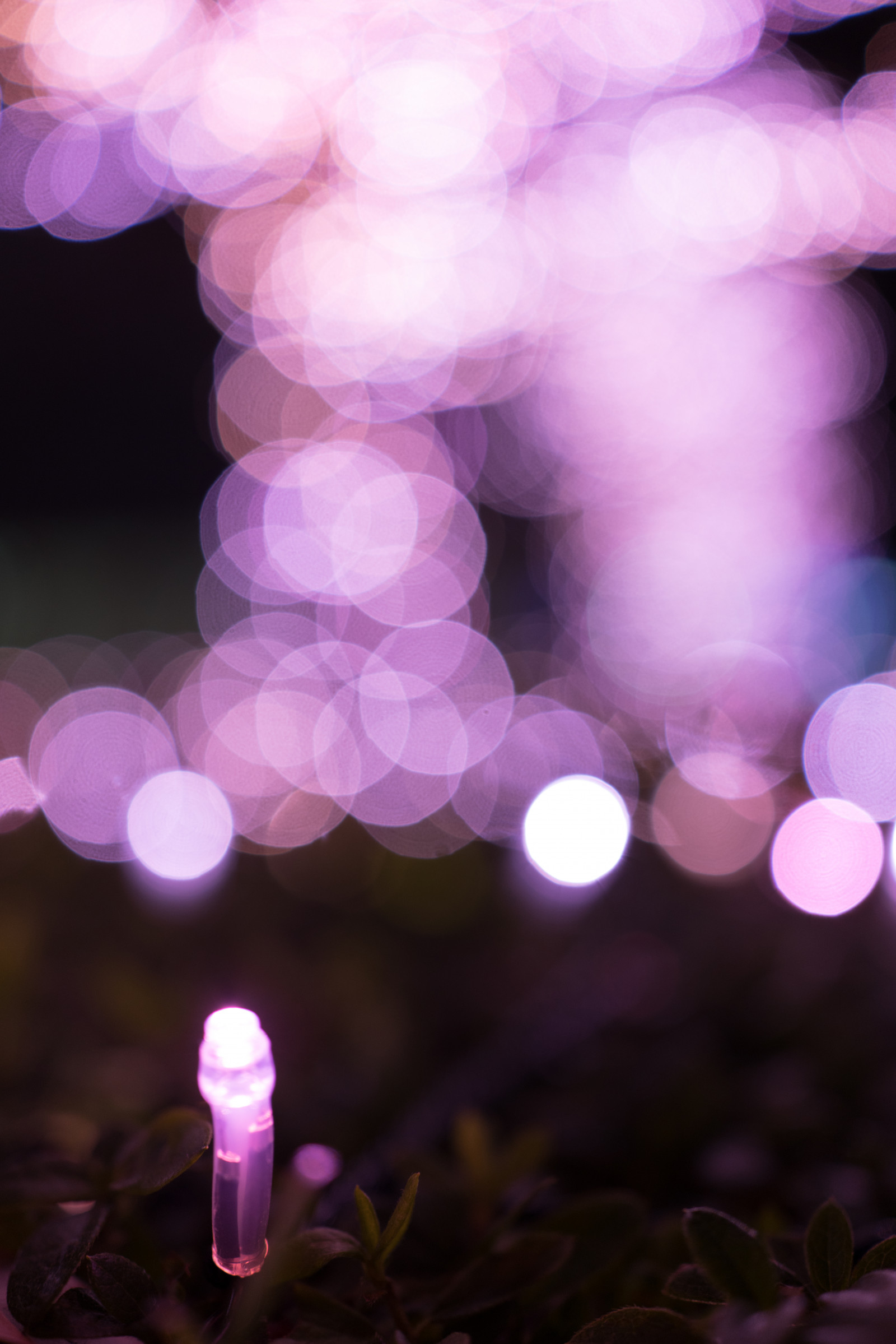 Bakgrundsbilder : japan, lila, blå, Sony, rosa, Tokyo, RX1R, Jp, ljus ...