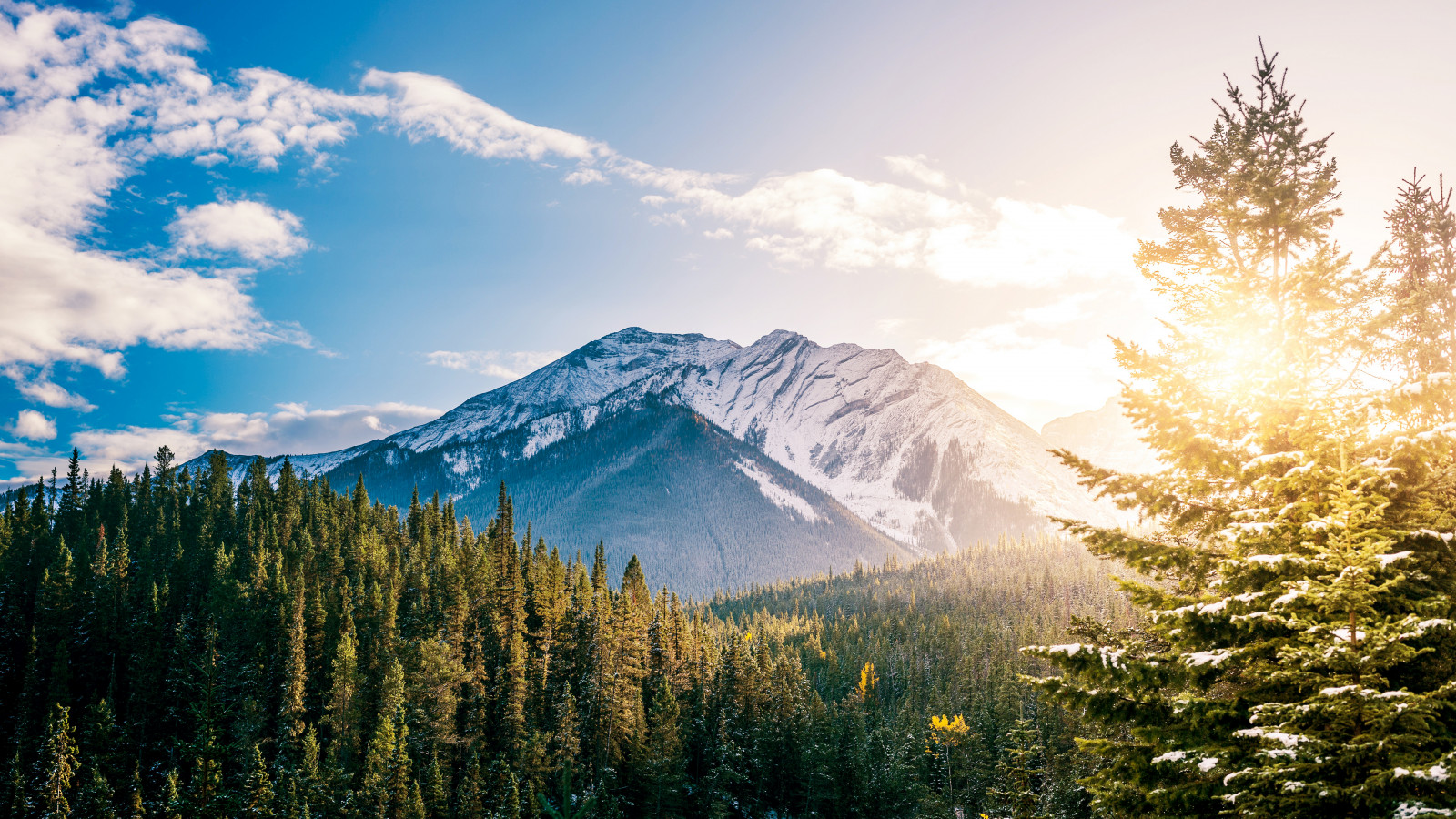 Wallpaper : landscape, mountains, clouds, forest, nature 3840x2160 ...