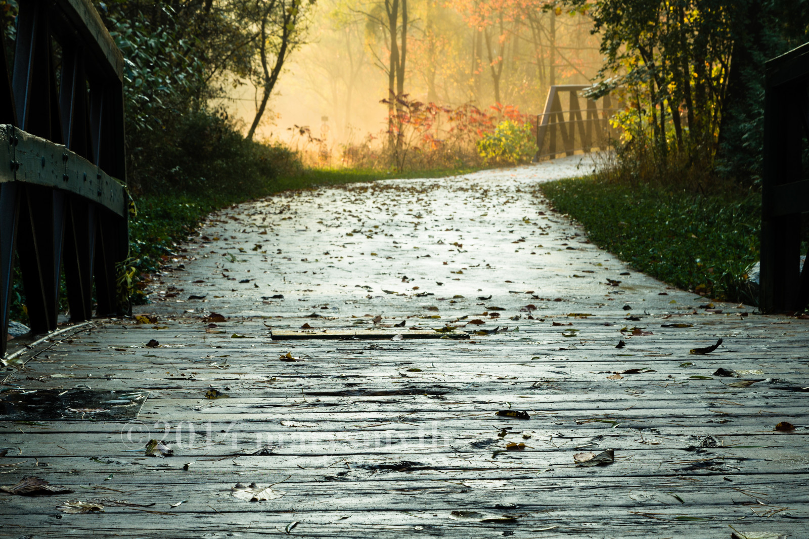 Wallpaper : morning, autumn, light, sunlight, nature, wet, rain, path ...