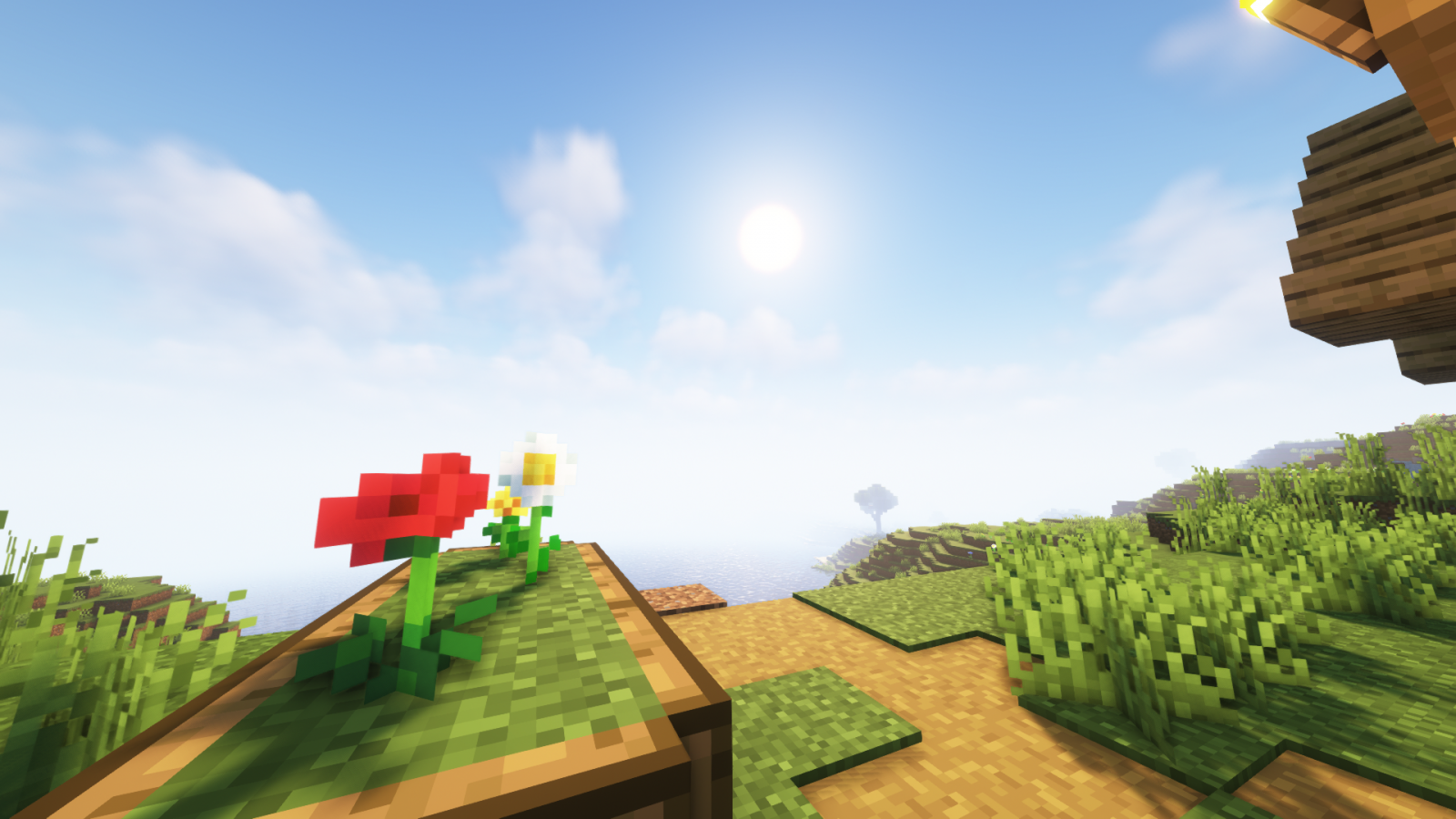 Wallpaper : cloud, sky, ecoregion, green, natural environment, plant ...