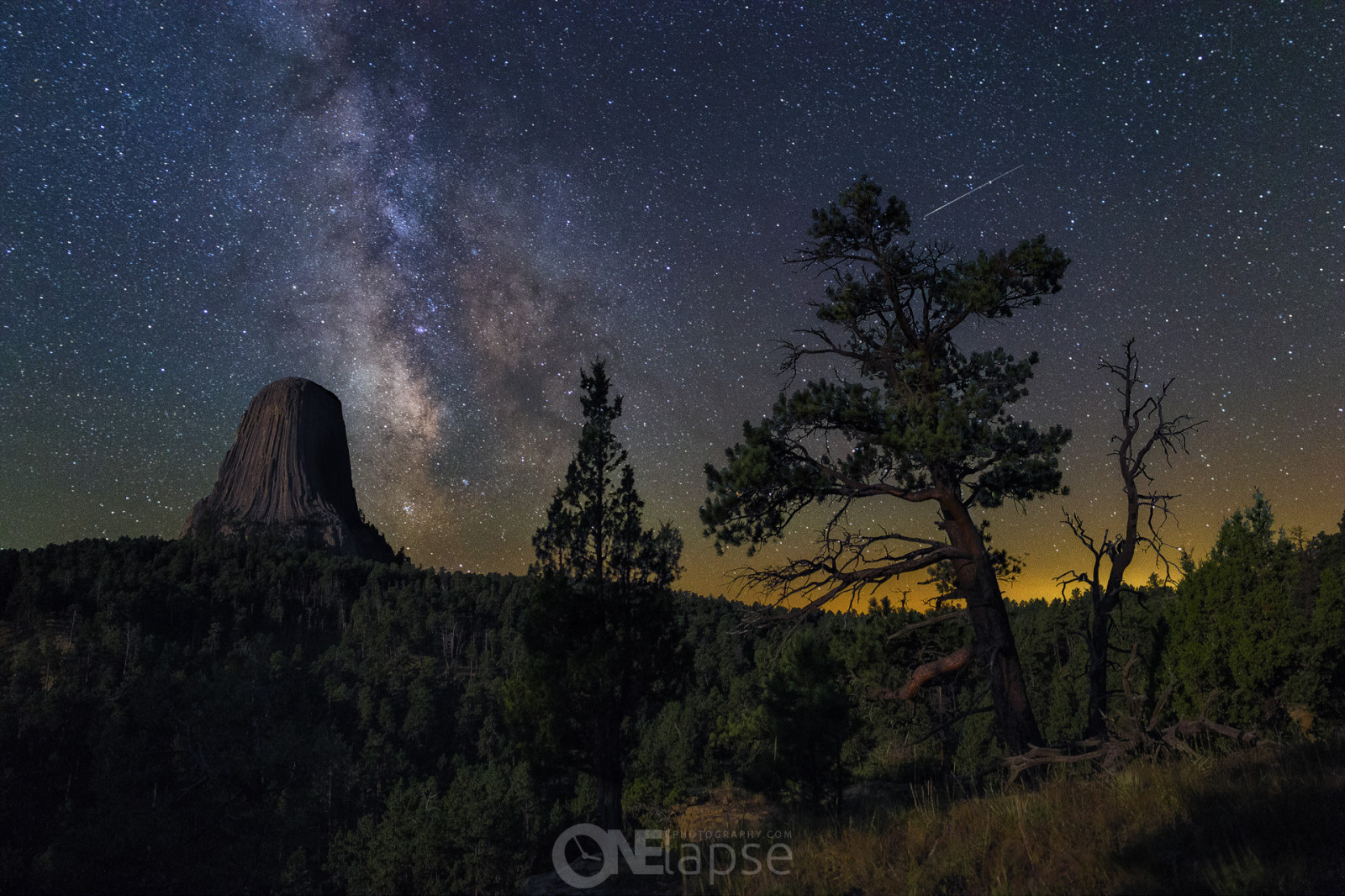 Wallpaper : sky, nature, atmosphere, night, tree, star, astronomical ...