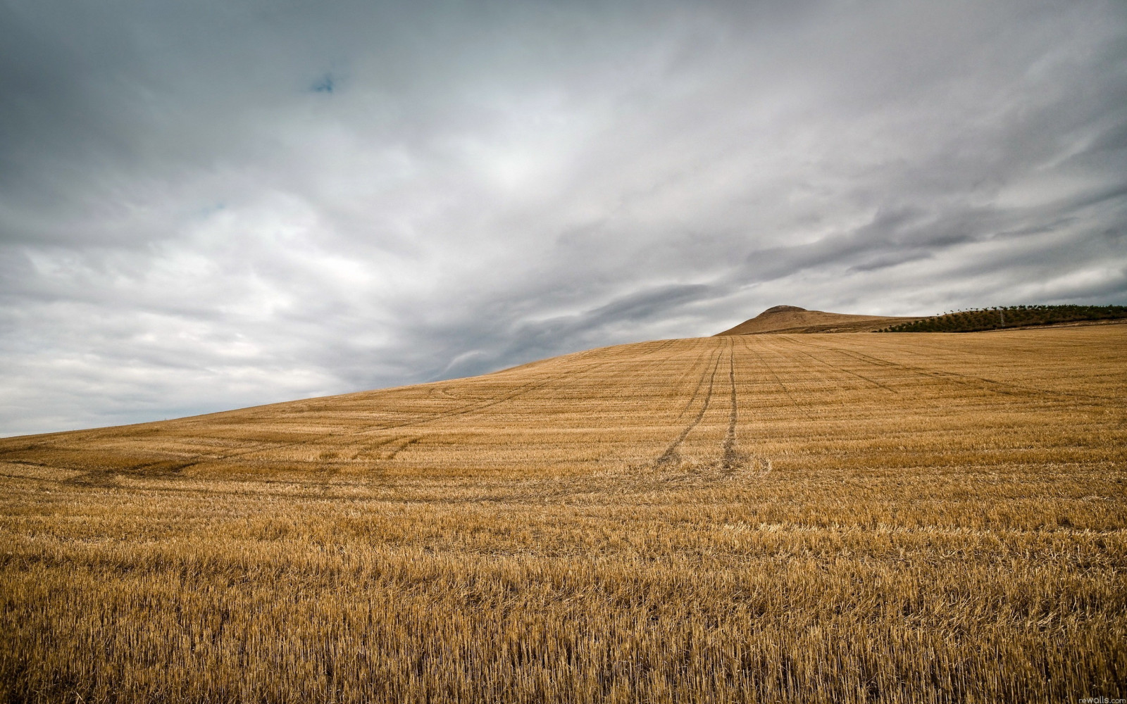 Bakgrundsbilder : mat, kulle, natur, himmel, fält, horisont, vete ...
