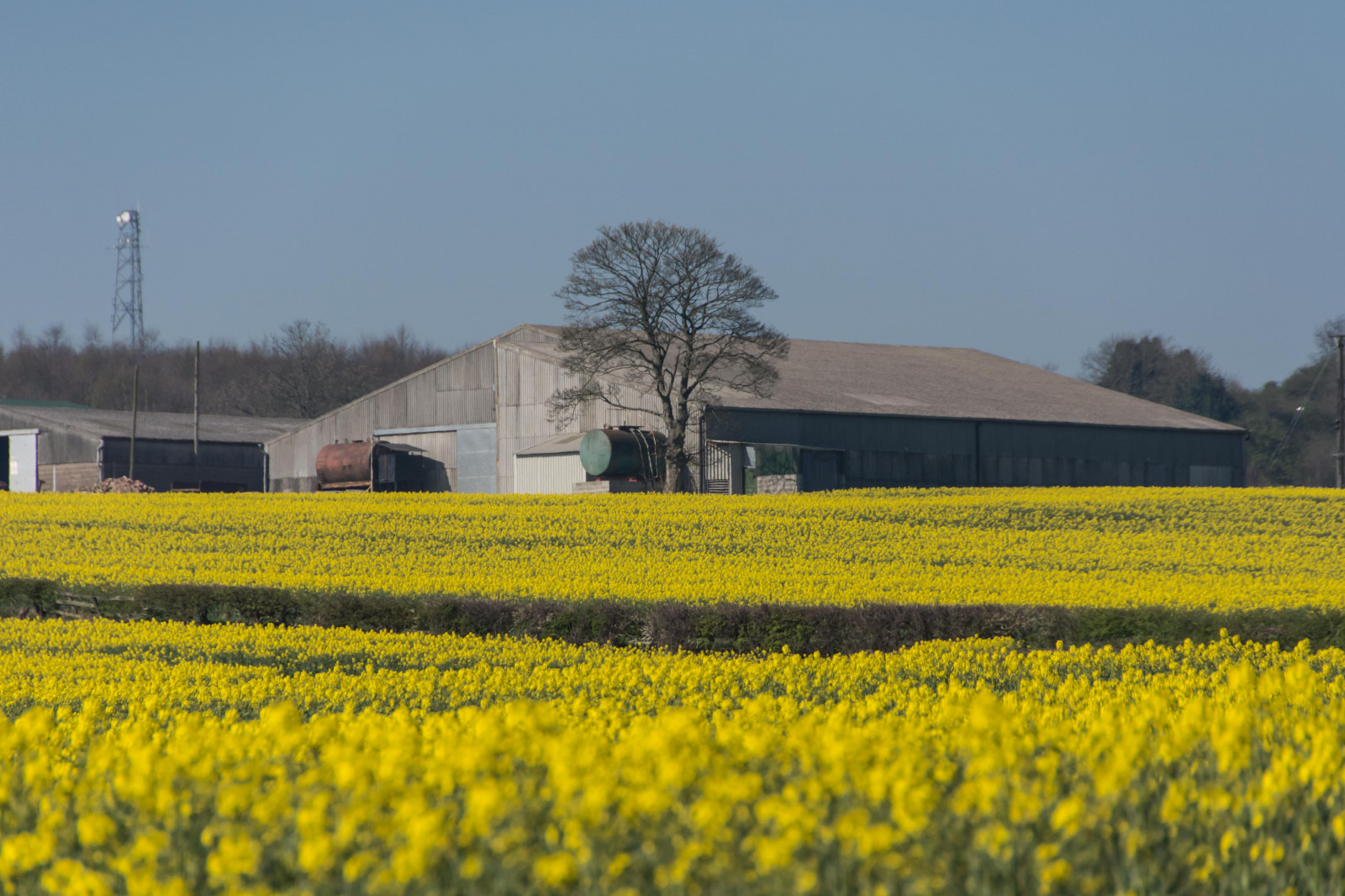 Wallpaper : UK, blue, trees, England, sky, building, tree, field ...