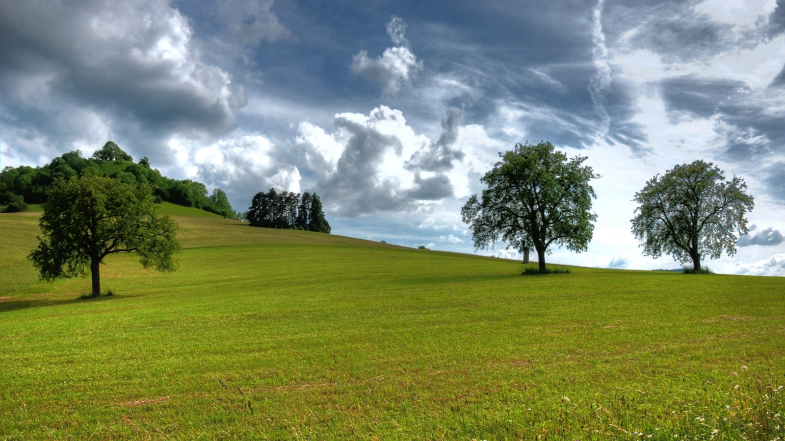 Wallpaper : trees, summer, grass, sky, clouds, air 2560x1440 - goodfon ...