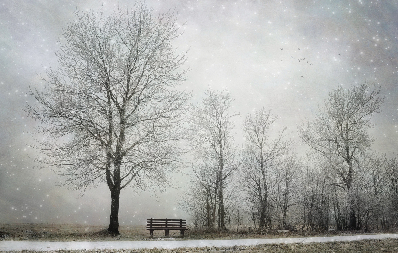 Wallpaper : winter, cold, outdoors, bench, trees 2048x1300 ...