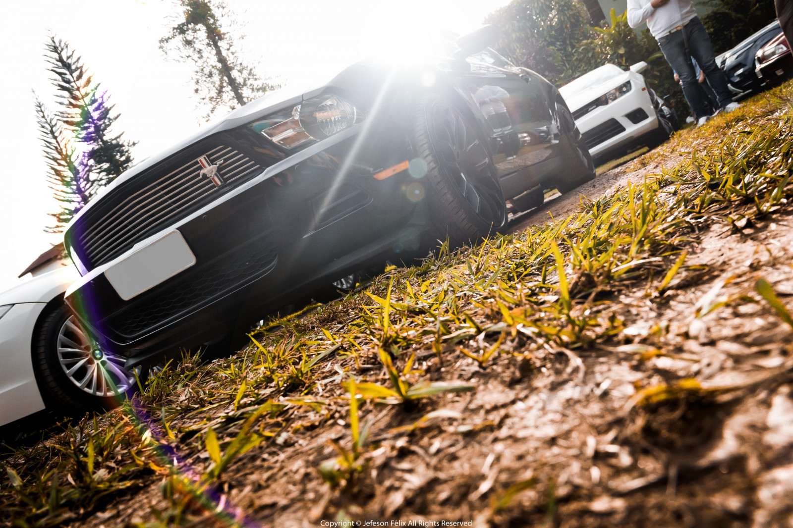 Tapety : samochód, trawa, Droga, Ford Mustang, opona, transport, asfalt ...
