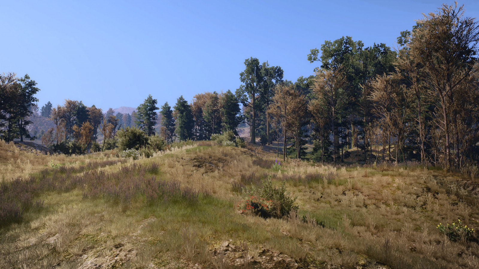 배경 화면 : tw3, 재창조, cdprojektred, 방랑자 3 사냥 3840x2160 - - 805630 - 배경 화면 ...
