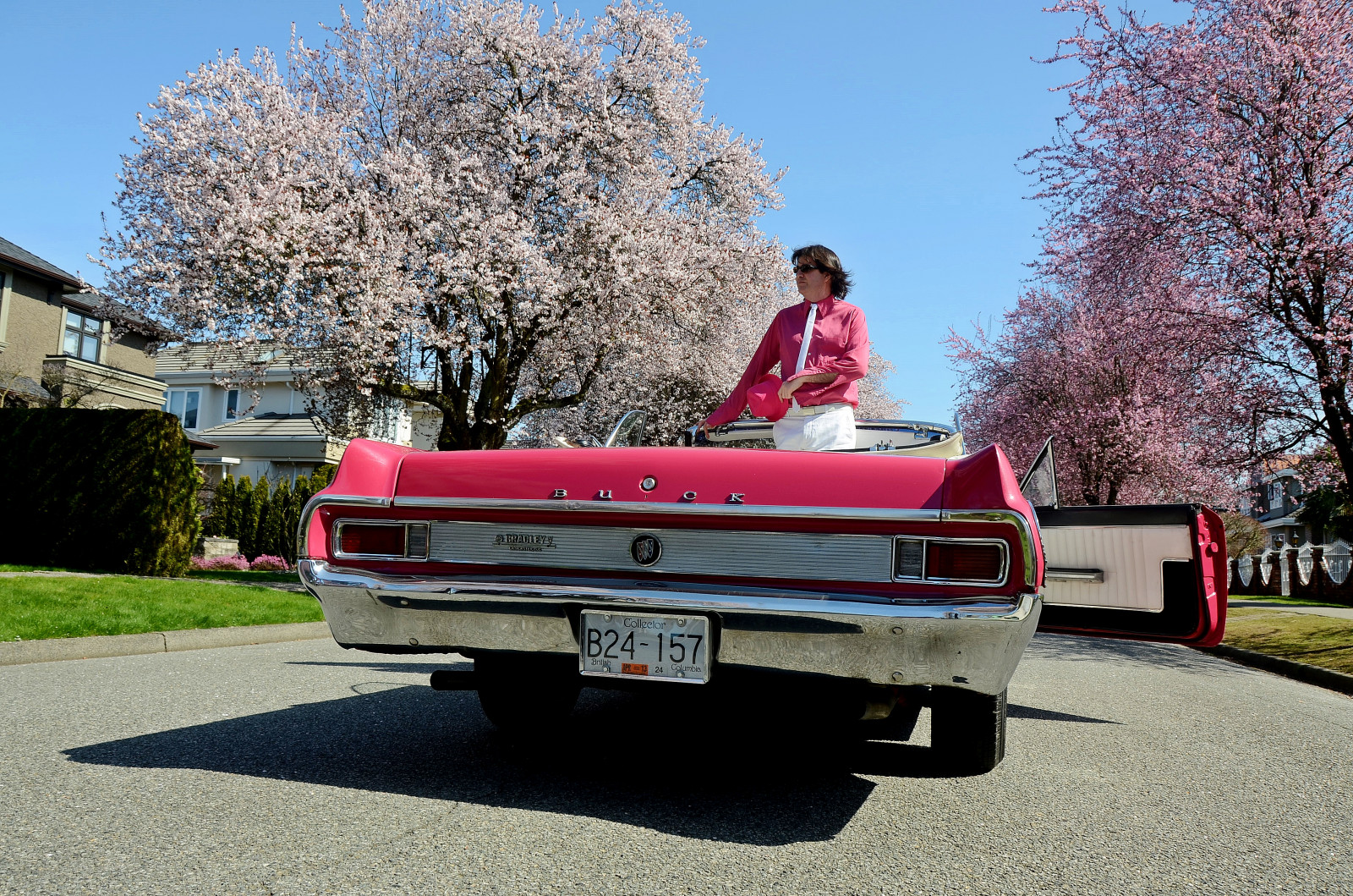 Wallpaper : blossoms, Buick, pink, Vintage car, Vancouver, tree, plant ...
