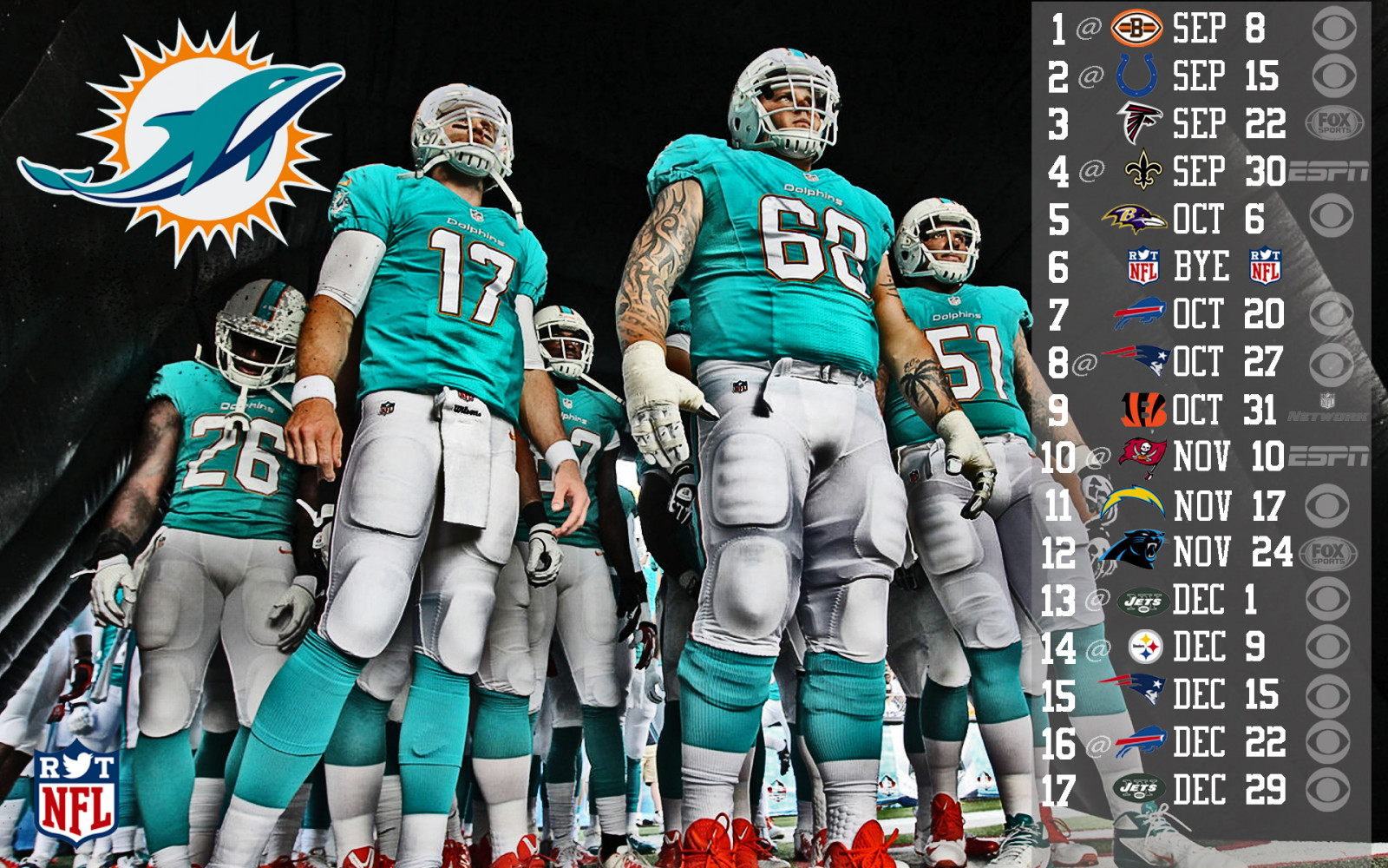 Wallpaper : 1920x1200 px, 2013, dolphins, football, Miami, NFL ...