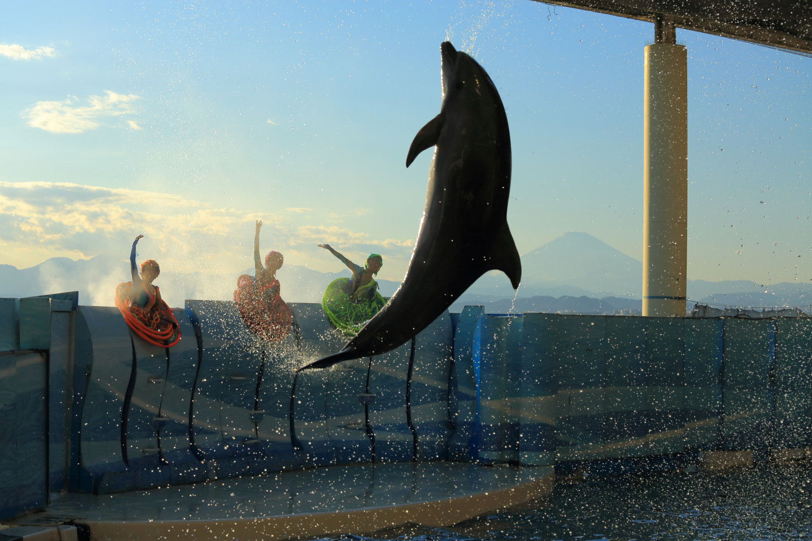 Wallpaper : show, aquarium, fuji, mt, dolphin, spray, enoshima, mtfuji ...