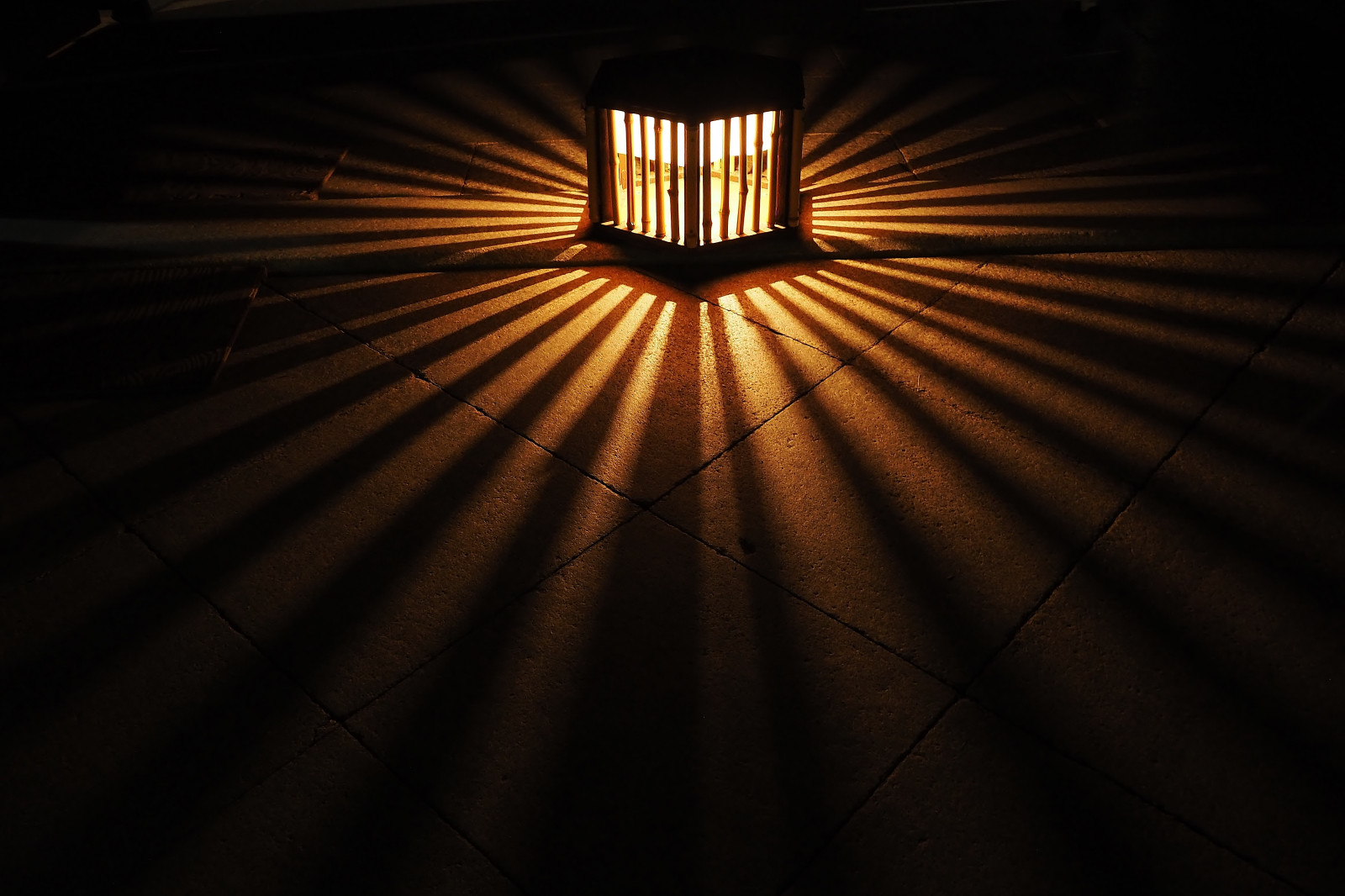 Wallpaper Sunlight Black Garden Night Reflection Symmetry