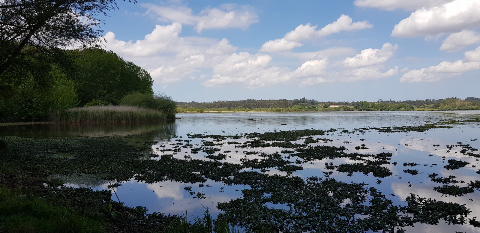 Wallpaper : nature, freedom 4032x1960 - Victus007 - 2177039 - HD ...