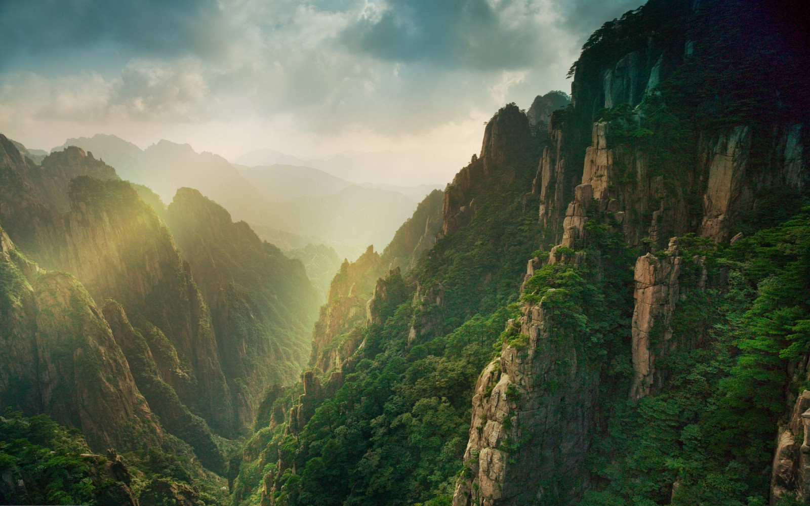 High Mountain Forest Landscape