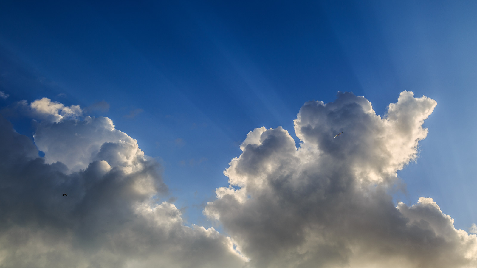 Obrázky na plochu : mraky, oblak, mrak, neba, oblohy, ciel, bleu, Modrá ...