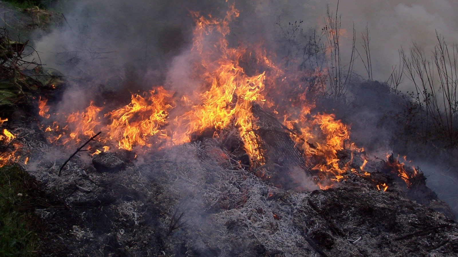 Imagini de fundal : 1920x1080 px, foc 1920x1080 - wallbase - 1526555 ...