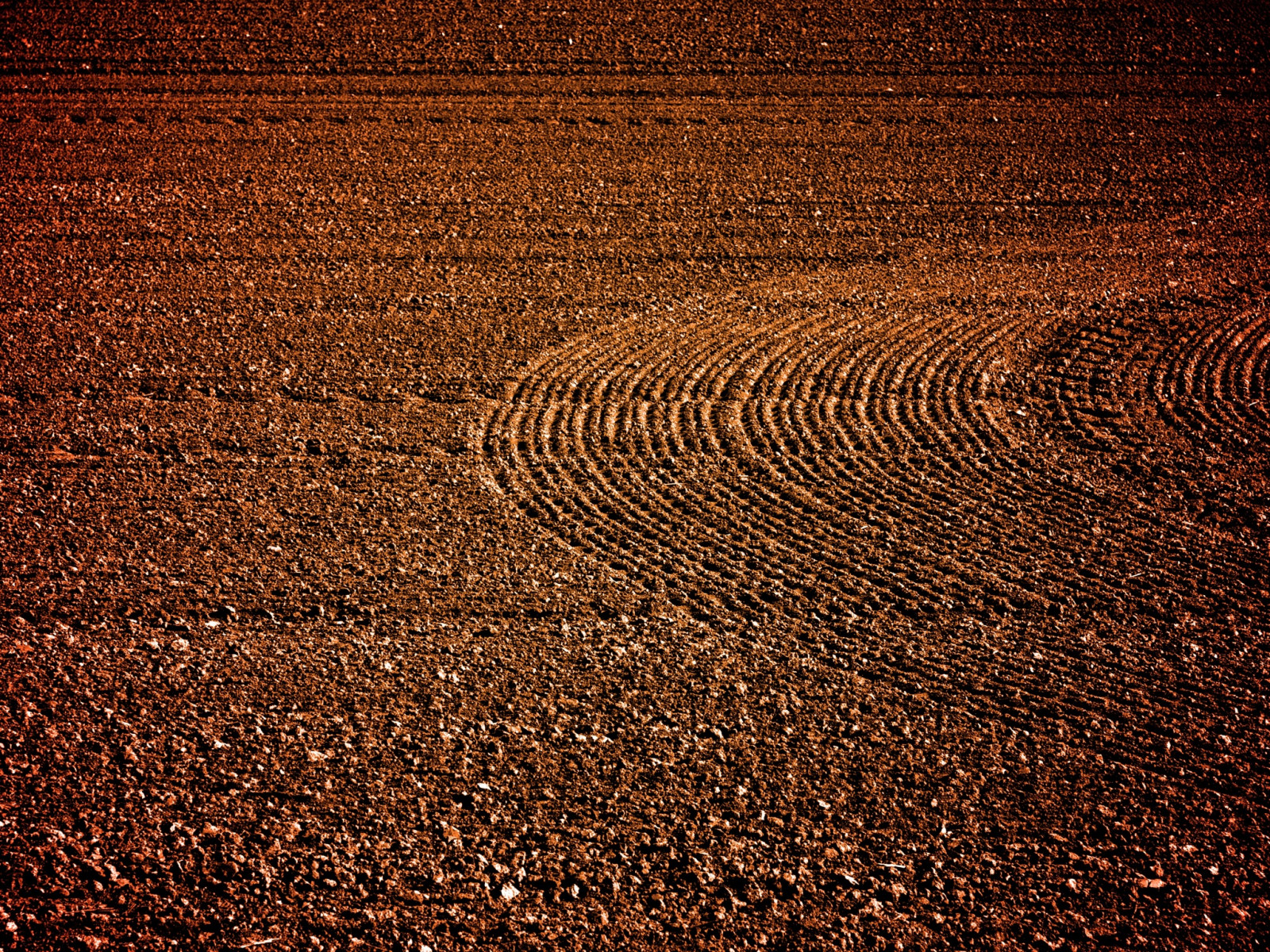 Wallpaper : landscape, fall, sky, field, Germany, geometry, orange ...