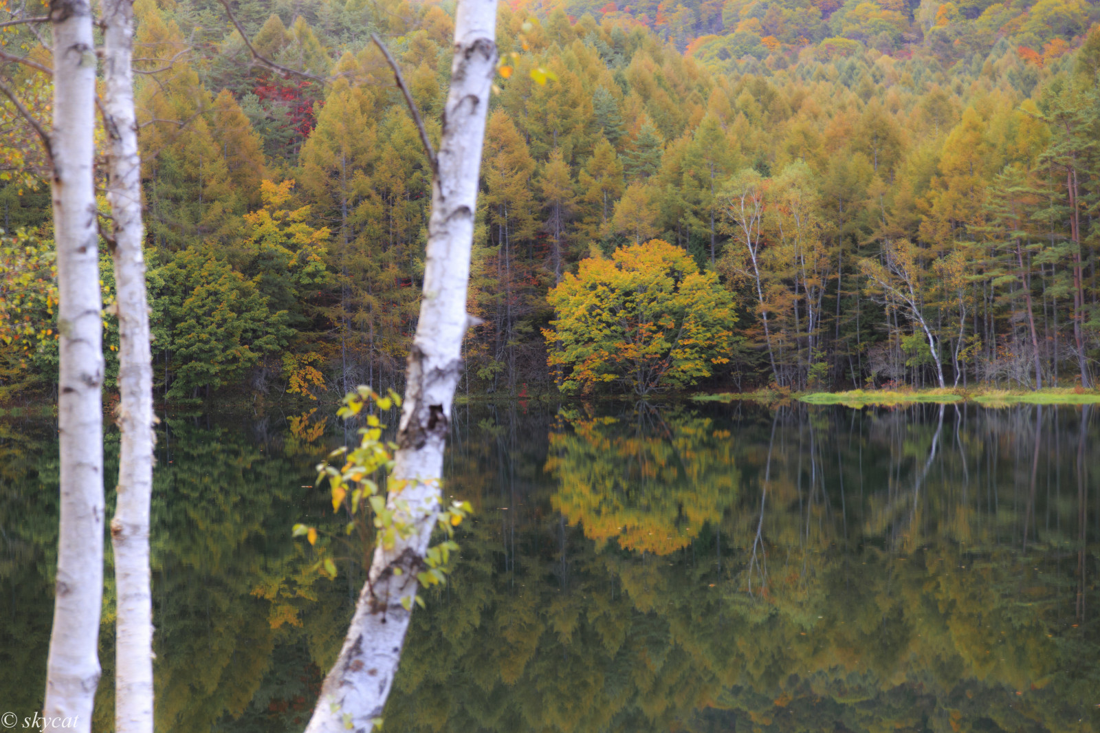 Wallpaper : autumn, reflection, fall, Canon, eos, pond, Nagano ...