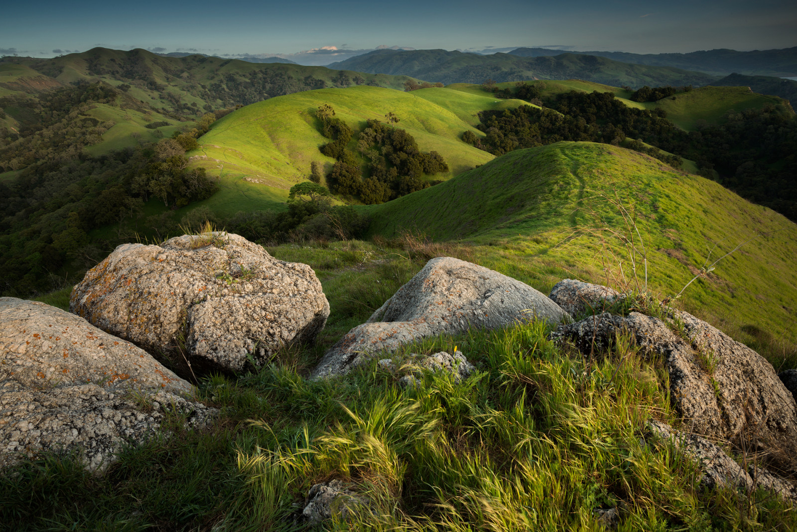 배경 화면 : sunol, 황야, regionalpreserve, 녹색, 봄, 자연, 이스트 베이, 공원, 경치, 언덕 ...