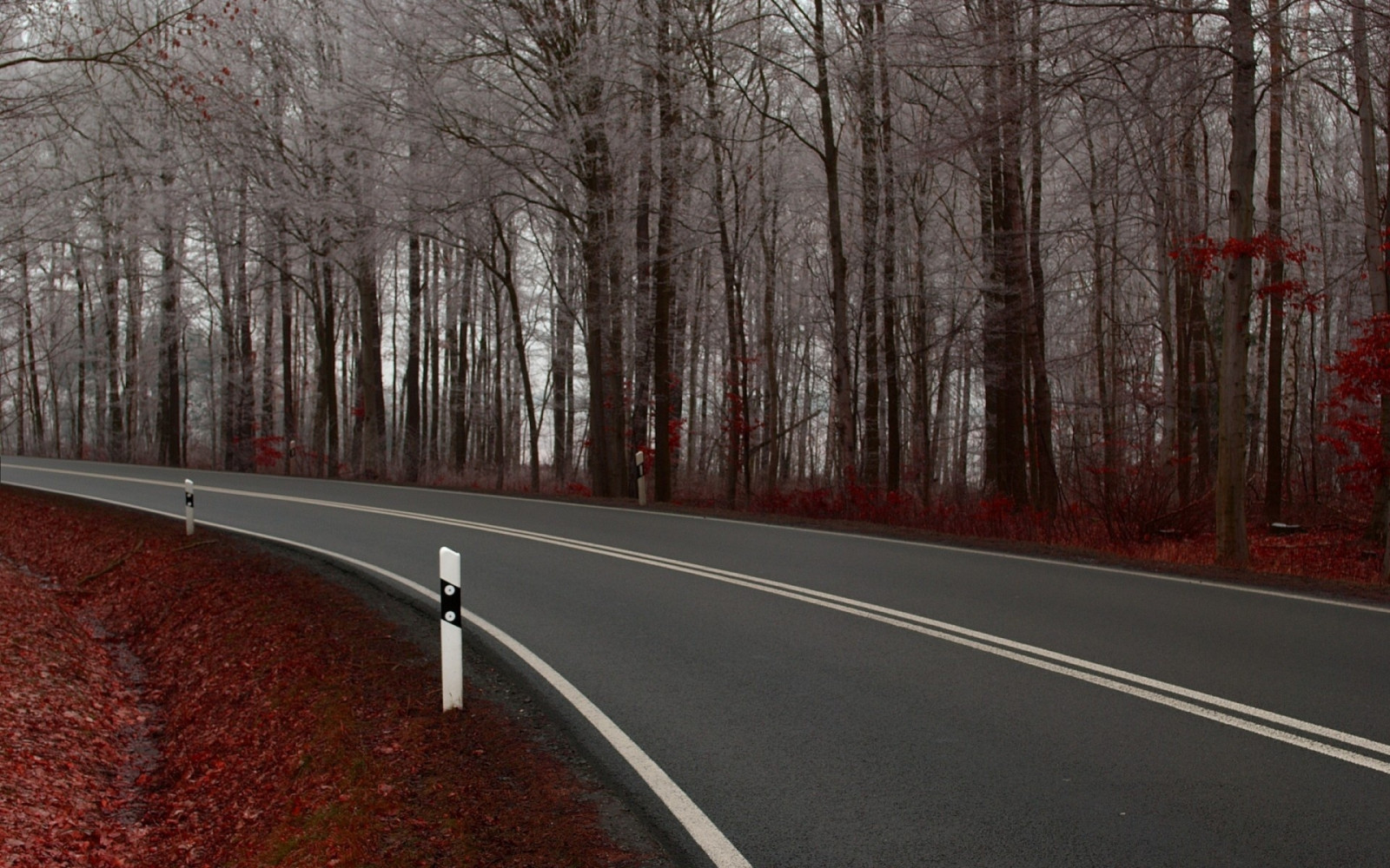 Wallpaper : road, fall, Twist 1920x1200 - goodfon - 1015826 - HD ...