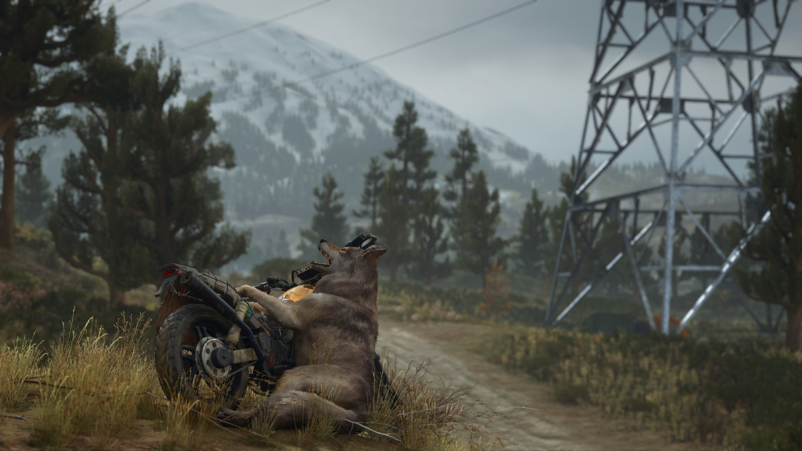 Masaüstü : Tekerlek, lastik, bitki, gökyüzü, Otomotiv lastiği, working ...